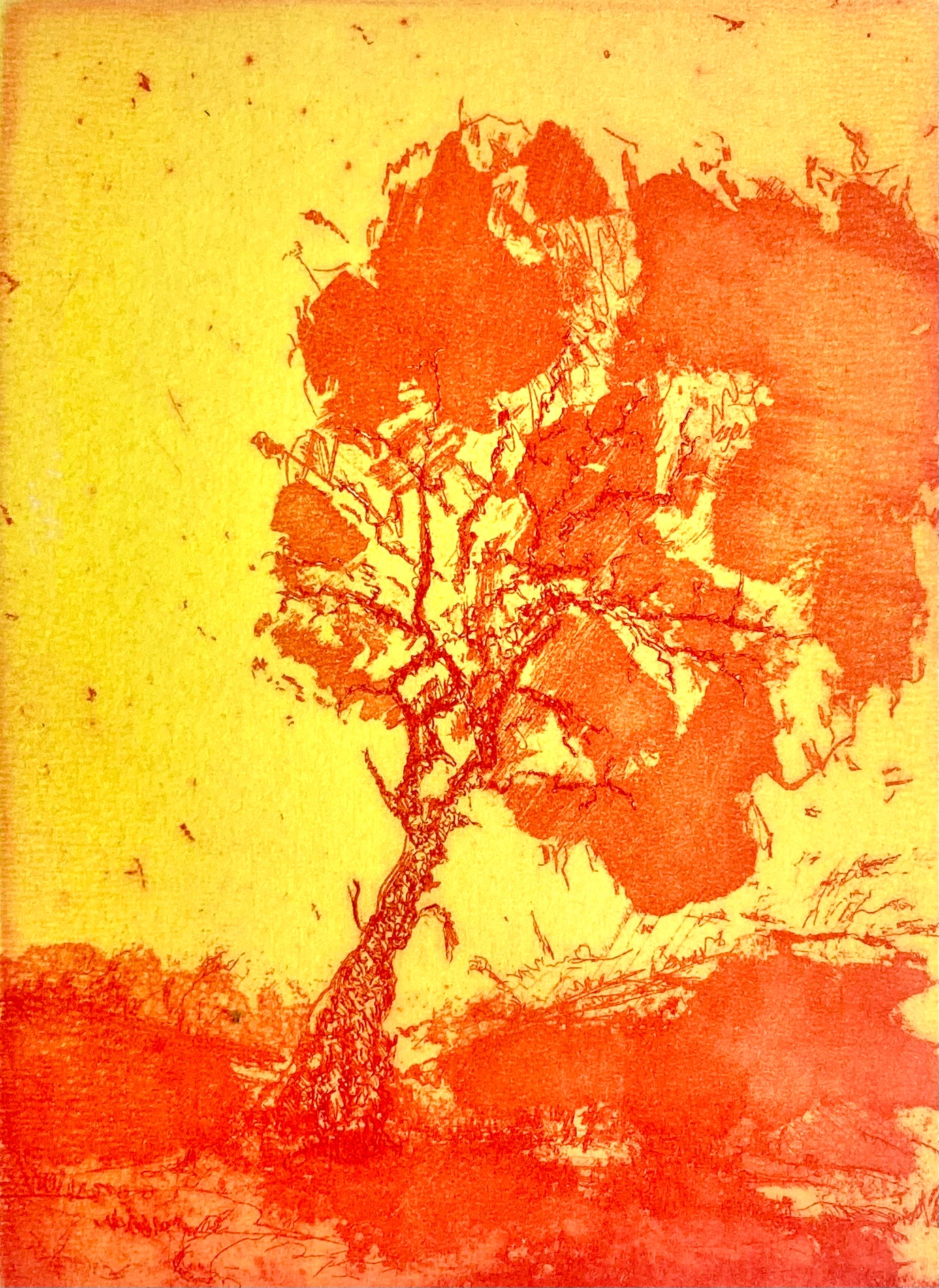 Etchings – Tim Rand Art